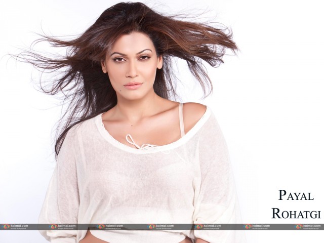 Payal Rohatgi Wallpapers - Koimoi