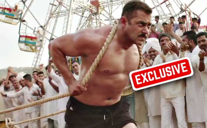 Sultan Movie Review - Koimoi