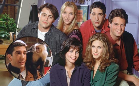 Friends: Remember Marcel The Monkey? THIS Cast Member Wasn't Fond Of It ...