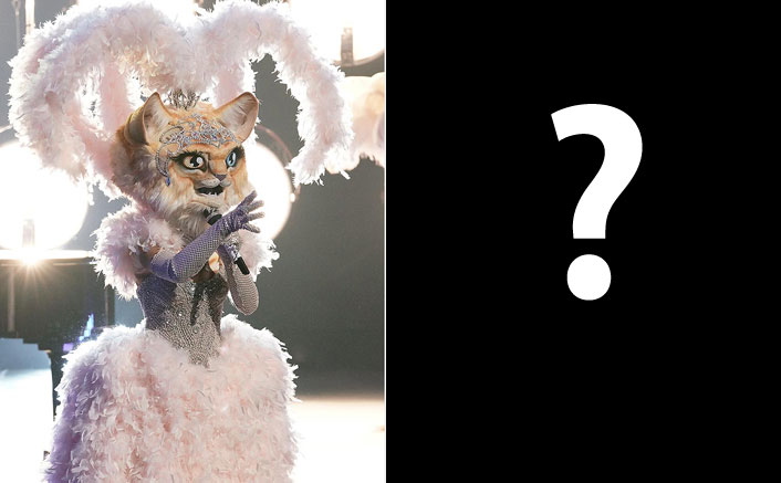 The Masked Singer’s ‘Kitty’ Has Been Identified As THIS Former America ...
