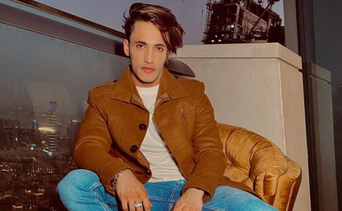 Bigg Boss 13 Fame Asim Riaz Is In A Hustling Mood, See Pic