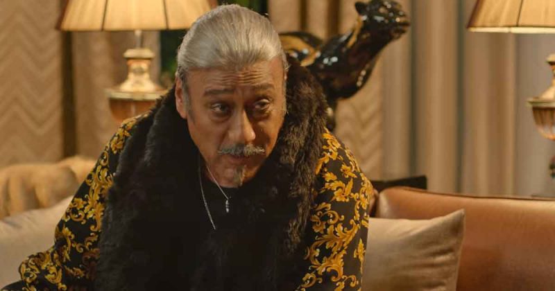 Hello Charlie Movie Review: This Jackie Shroff, Aadar Jain's Gorilla ...