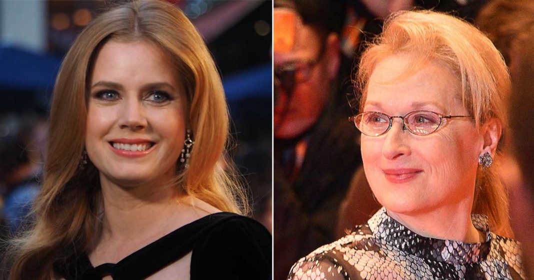 Amy Adams On Meryl Streep: "She's A Big Knitter, Very Crafty"