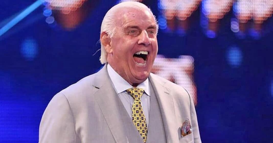 Ric Flair Was Spinning Around His Pen*s In Front Of An Air Hostess ...