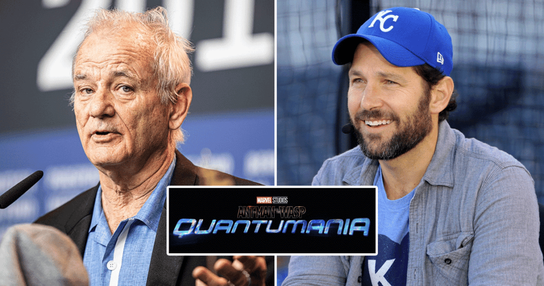Ant-Man And The Wasp: Quantumania: Bill Murray To Play The Villian In ...
