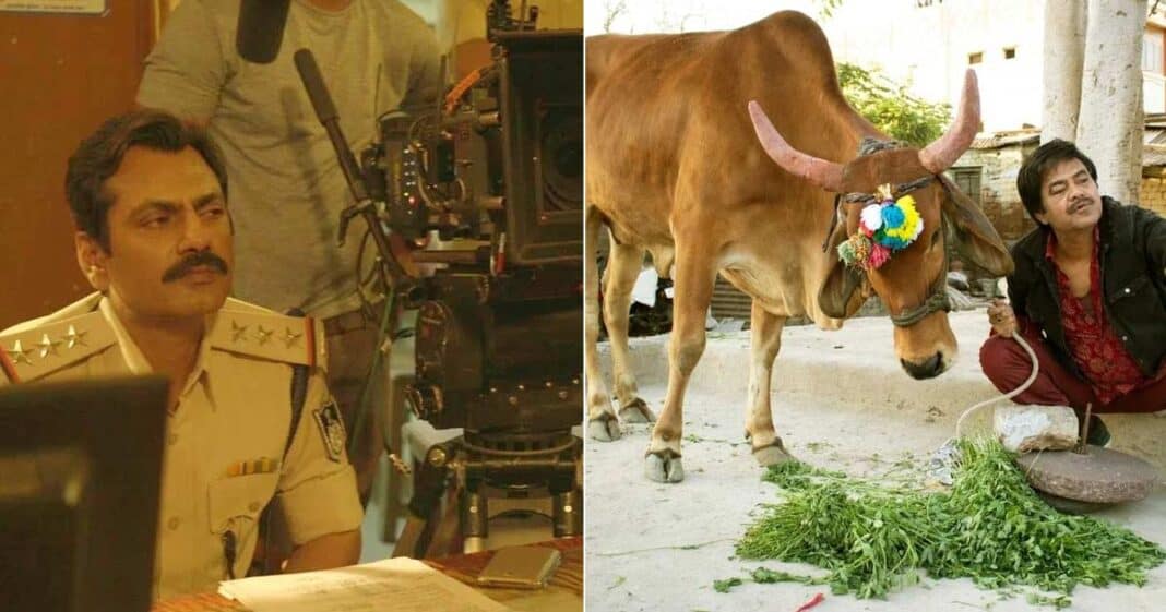 Holy Cow: Nawazuddin Siddiqui & Sanjay Mishra-Starrer Gets A Release Date