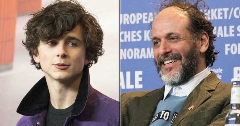 'Bones And All' Director Luca Guadagnino On His Bond With Timothee ...