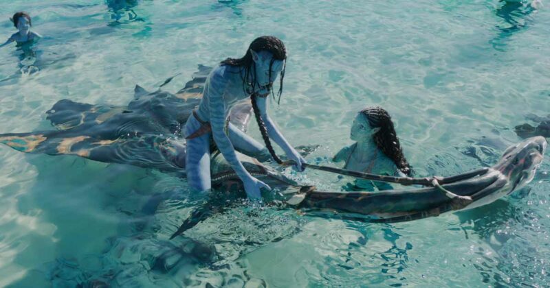 Avatar 2 Box Office (Domestic): Witnesses A Drop Of Over 50% On The ...