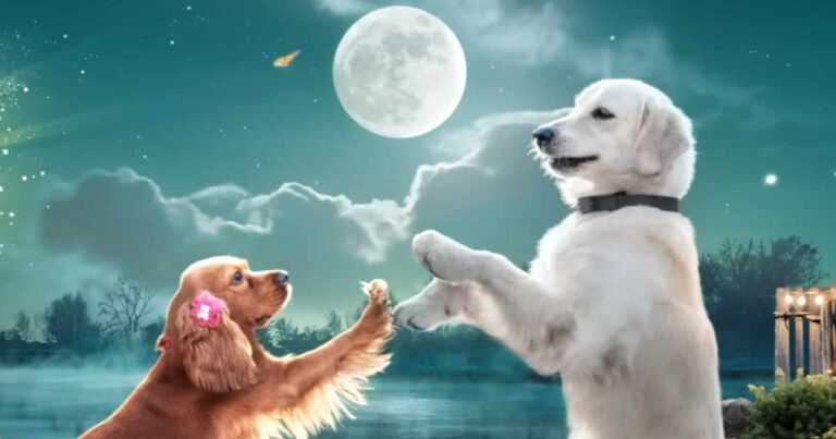 Valatty First Poster Out! A Magical (& Experimental) First Pan-Indian ...