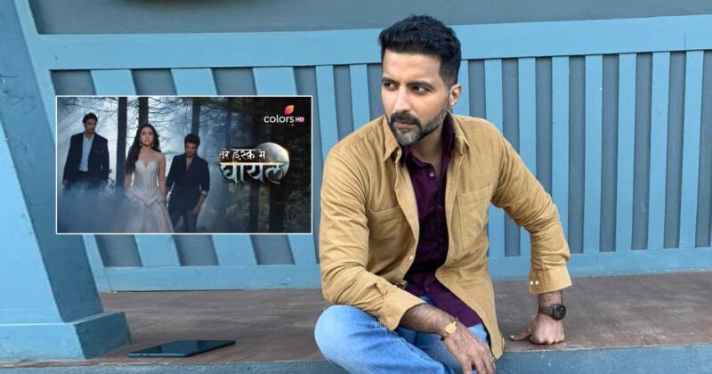 'Chandrakanta' Star Nikkhil Arya On His Role In 'Tere Ishq Mein Ghayal': "I Play A Normal But ...