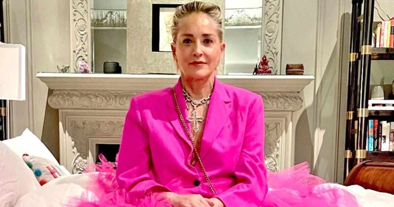 Sharon Stone Lost Custody Of Her Son After Judge Accused Her Of Making ... Sharon Stone Lost Custody Of Her Son After Judge Accused Her Of Making ...