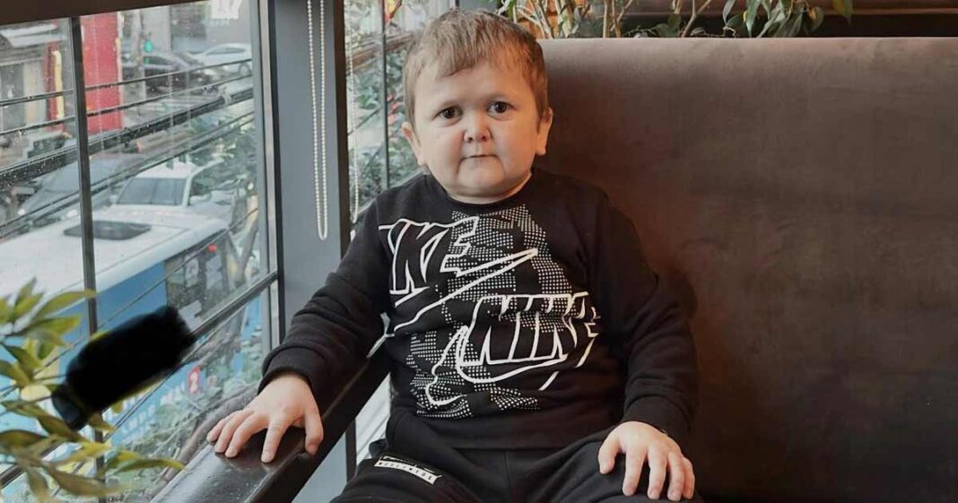 Hasbulla Magomedov, A Social Media Star, Has Been Placed Under House Arrest Following His ...