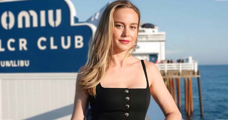 When ‘Captain Marvel’ Brie Larson Had The World Marvel Over Her ...