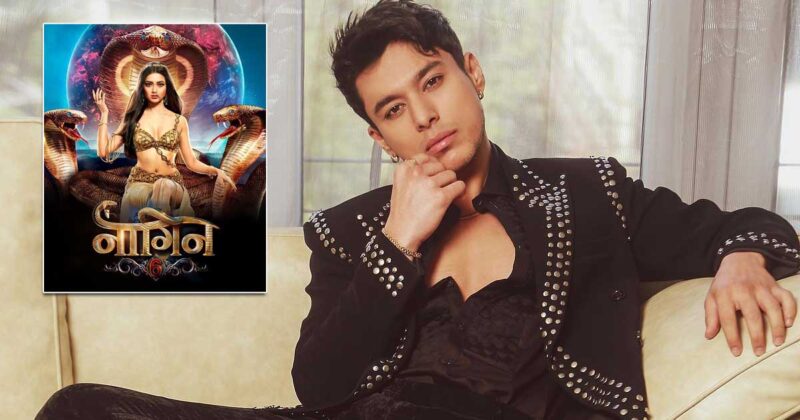 Pratik Sehajpal Slams Misleading Rumours Of Him Wanting More Screen Space In Tejasswi Prakash's ...