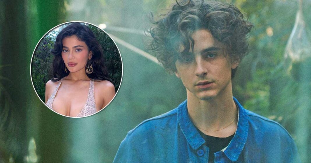 Timothee Chalamet's Net Worth: From Endorsing Brands Like Dior To ...