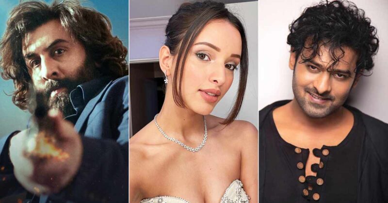 Tripti Dimri To Connect Prabhas' 400 Crore Spirit With Ranbir Kapoor's ...