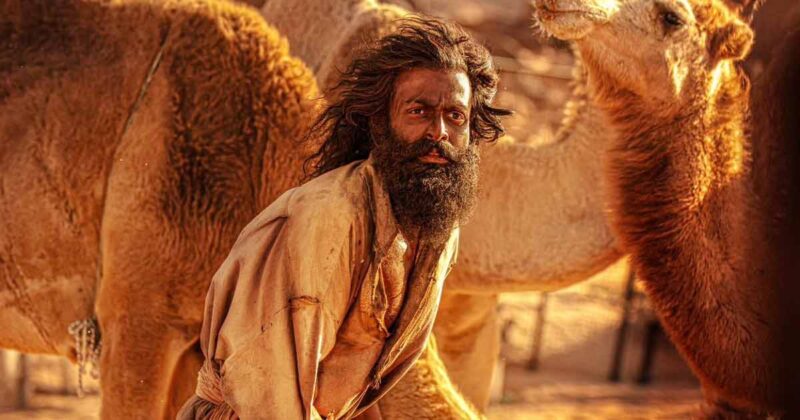 Aadujeevitham - The Goat Life Box Office Collections Day 5: Holds ...