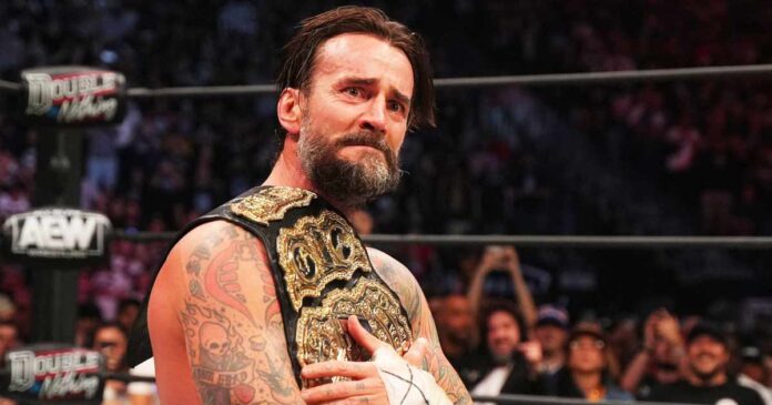WWE Superstar CM Punk, Who's Been Getting $1 Million Salary Since 2011 ...