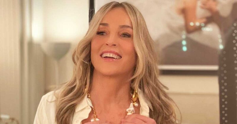 Sharon Stone's Net Worth Explored As Basic Instinct Star Claims "I Had ...