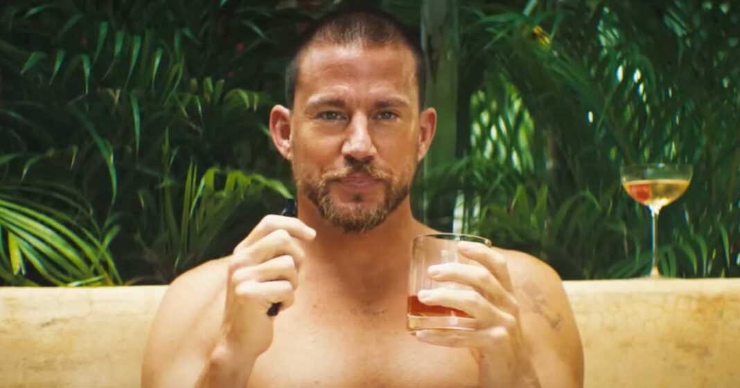 Blink Twice Box Office (Worldwide): Zoe Kravitz’s $20 Million ...