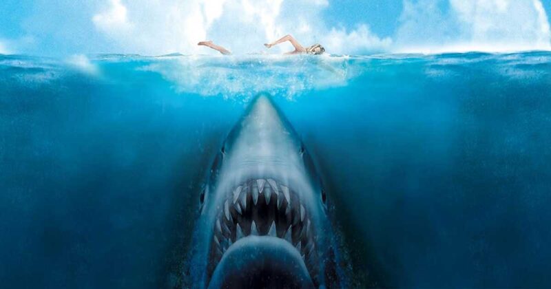 Did You Know This Deleted Scene Nearly Gave Steven Spielberg's Jaws An R Rating?
