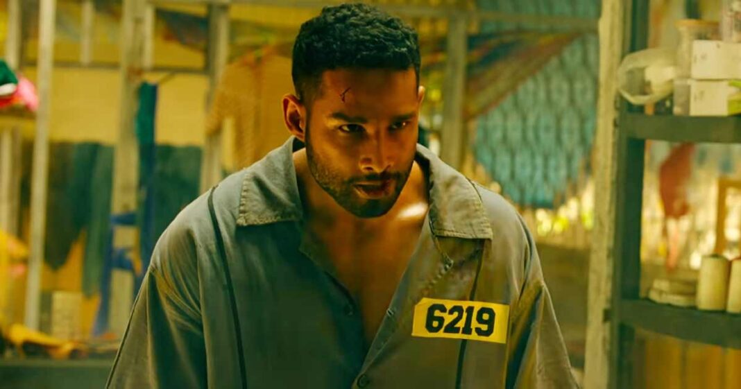Yudhra: Everything You Need To Know About The Siddhant Chaturvedi ...