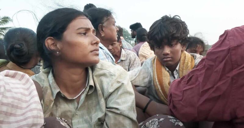 Vaazhai At The Worldwide Box Office (17 Days): Holds On Well, Inching ...