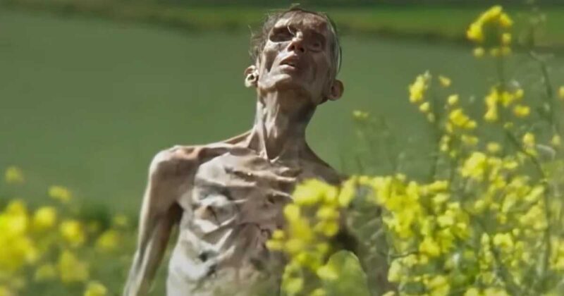 Is Cillian Murphy The Zombie In Viral 28 Years Trailer Scene? Explained