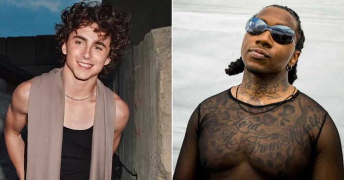 Timothée Chalamet Reveals How Rapper Lil B 'Blessed' His Path To Stardom