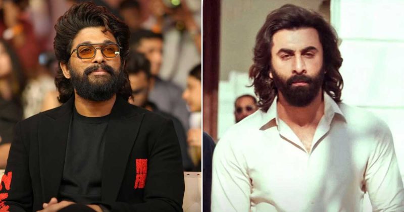 What Does Pushpa 2 Star Allu Arjun Think Of Ranbir Kapoor’s Animal? Co ...