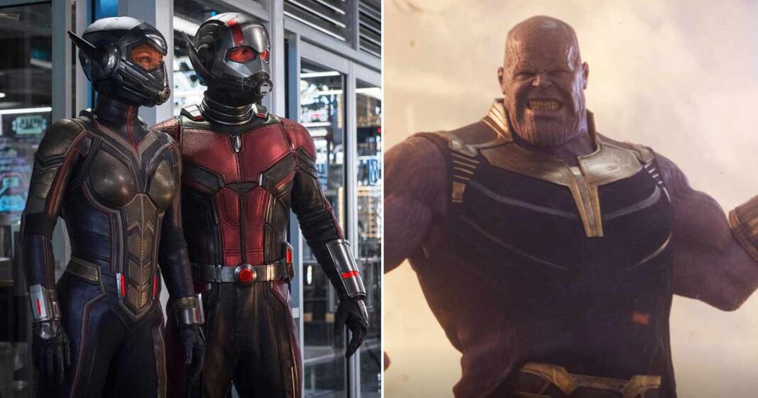 Ant-Man’s ‘Gross’ Plan to Defeat Thanos: Here’s The Wild Theory That Never Happened