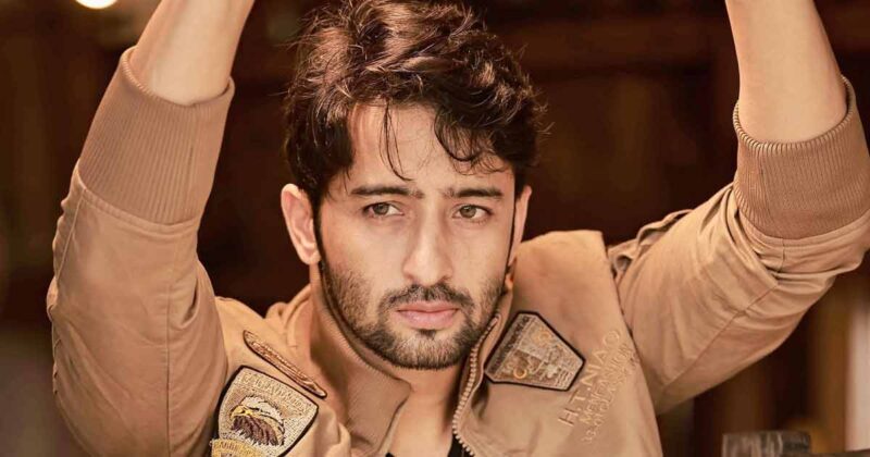 Shaheer Sheikh’s Rollercoaster Ride Of A Journey, From Being Hailed As Indonesia’s Shah Rukh ...