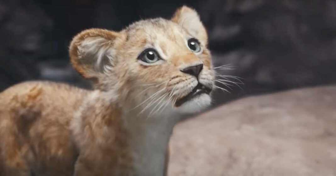 Mufasa: The Lion King Worldwide Box Office: Collects 243% More Than Its ...