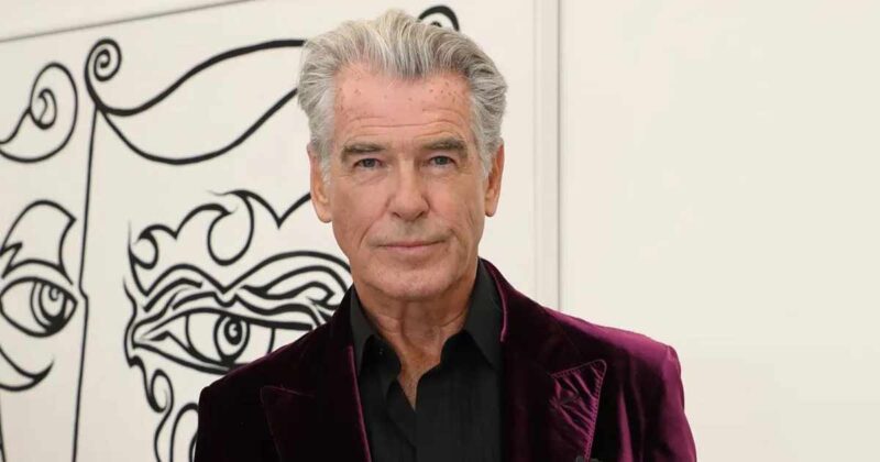 When Pierce Brosnan Almost Landed An Iconic Harry Potter Role- Here’s ...
