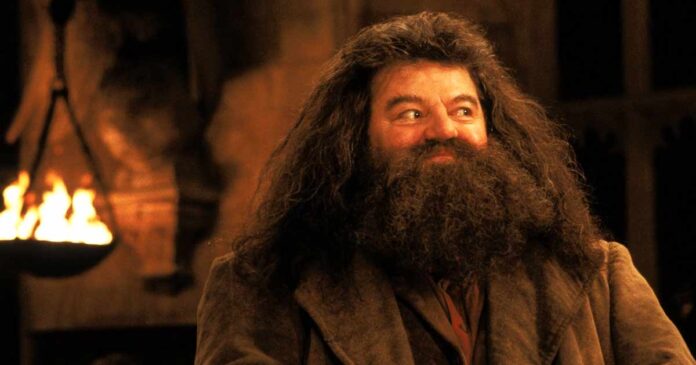 Harry Potter Reboot: Who Is Playing Hagrid In The HBO Series?