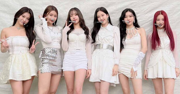 MOMOLAND Reunites: Popular K-Pop Girl Group Begins A New Chapter With ...