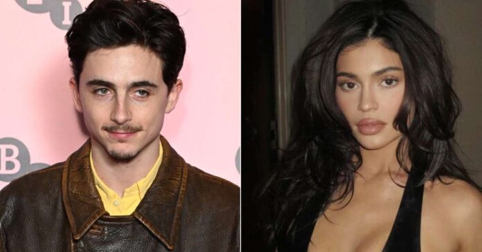 Timothee Chalamet's Mom Calls Kylie Jenner "Lovely" & Talks About What ...