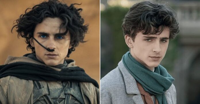 Timothée Chalamet’s Transformation – From Indie Heartthrob To Hollywood ...