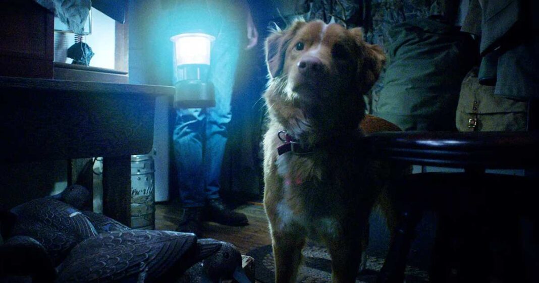 This 100% Rated Horror Film On Prime Video Has Viewers Seeing Fear ...