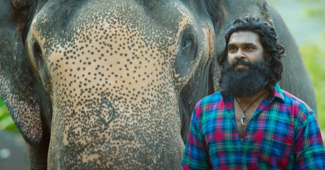 Padai Thalaivan Box Office Collection Day 4: Shanmuga Pandian’s Film ...