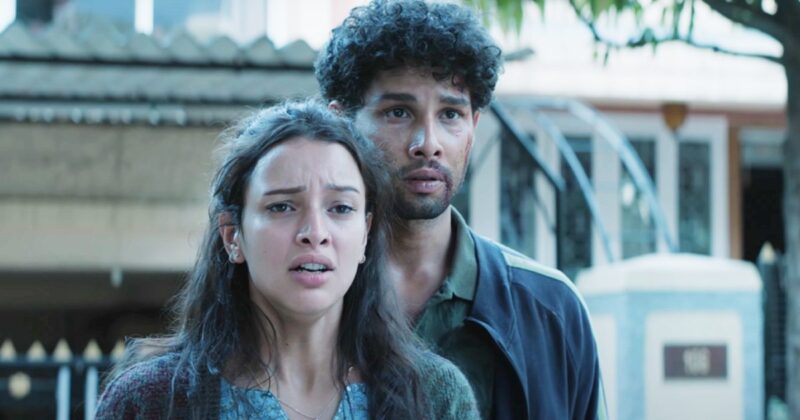 Dhadak 2 Movie Review: Siddhant Chaturvedi & Triptii Dimri Dare To Love ...