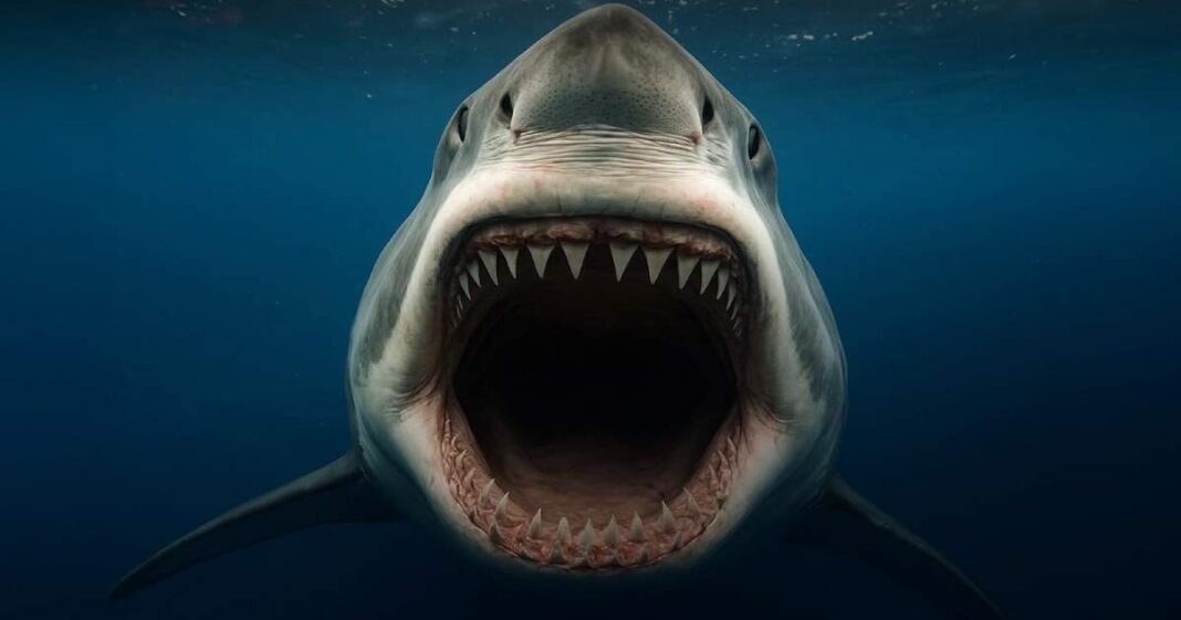 Jaws Re-Release North America Box Office Day 4: Crosses $8M During ...