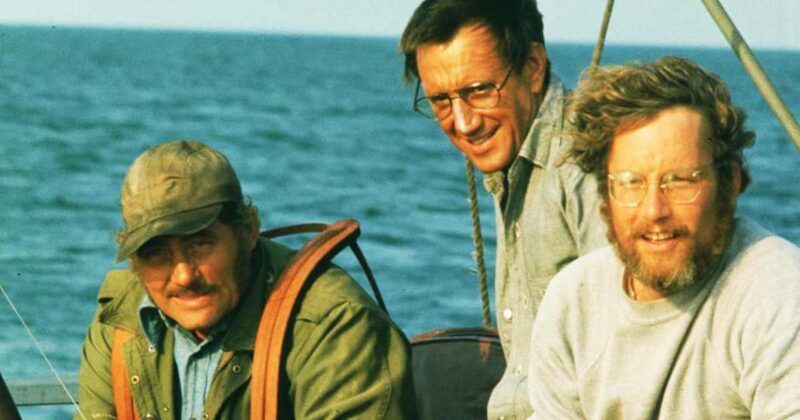 Jaws Franchise Box Office: 3 Sequels In 12 Years, But Steven Spielberg ...