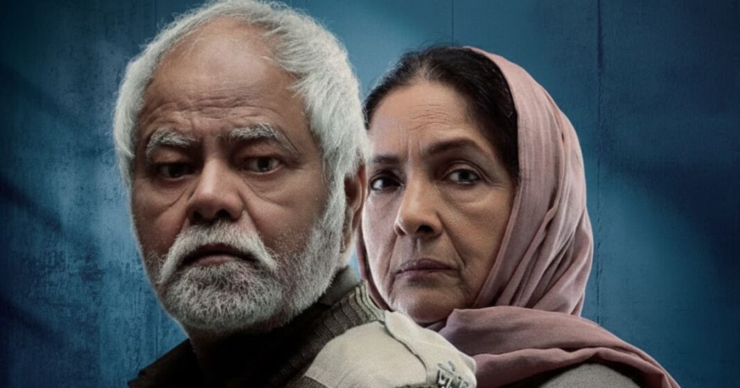 Vadh 2 Box Office Collection Day 11: With 50% Drop, Sanjay Mishra ...