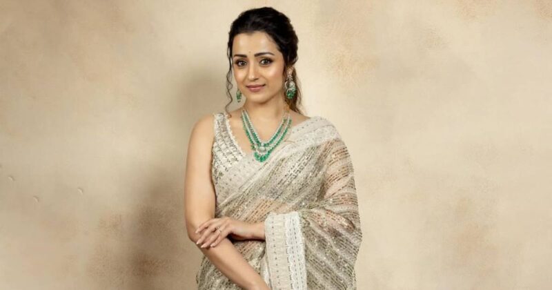 Trisha Krishnan Net Worth 2026: A Look At Her Wealth, Assets & Career ...