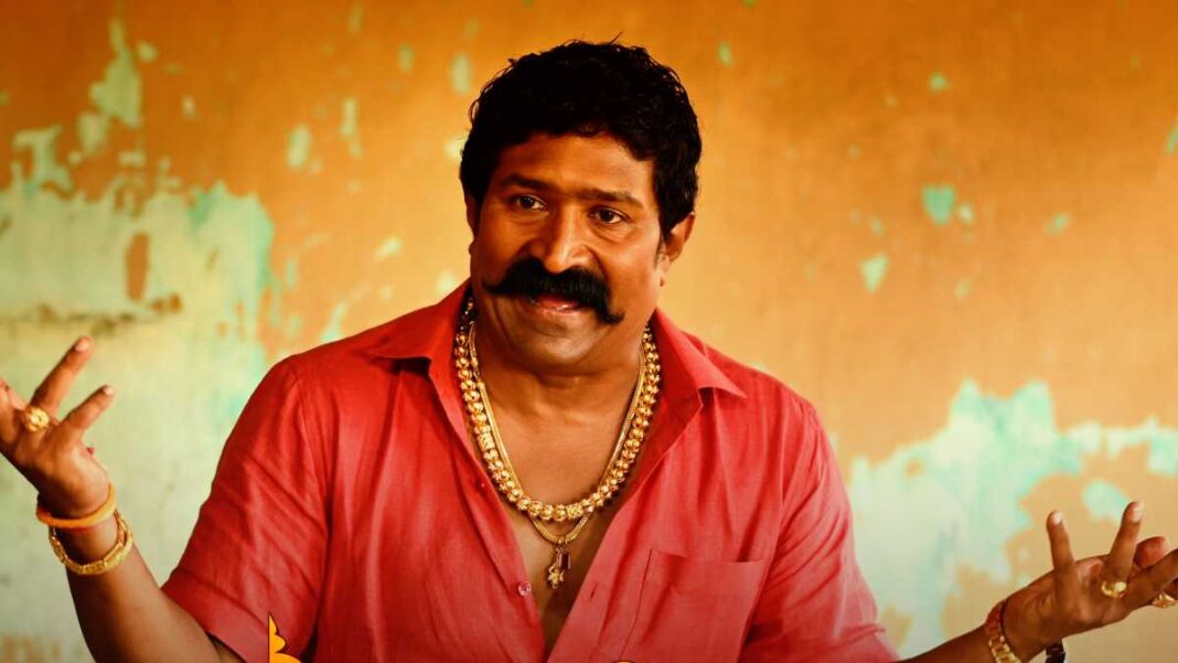 Deool Band 2 Box Office Collection Day 13: Becomes Pravin Tarde's Most ...
